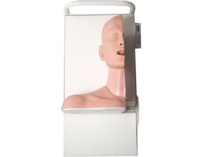 中国 医学の鮮やかなつばめのメカニズムのシミュレーター 販売のため