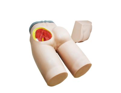 China Intramuscular Injection Training Artificial Buttocks for sale