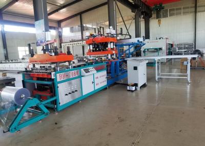 Cina Servo vuoto della bolla che forma fabbricazione dello strato del polietilene della macchina in vendita