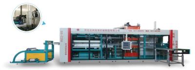 Cina Multi bolla Tray Making Machine Fully Automatic della stazione del pe per il contenitore di frutta in vendita