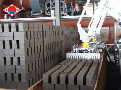 Китай робот оси 32400pieces/H 800KG белый Multi штабелируя систему продается