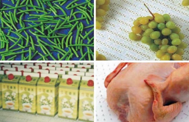 Modular Plastic POM Material Chain Driven Belt for Food Processing Line