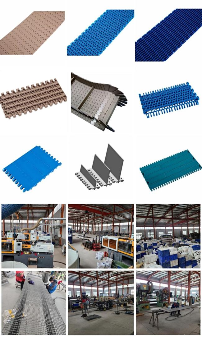 ODM Stainless Steel Wire Mesh Belt