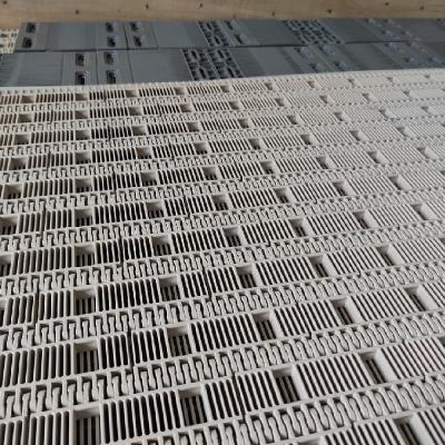 Cina 4809 Serie cintura modulare a costole sollevate per linea di macchine di sterilizzazione in vendita