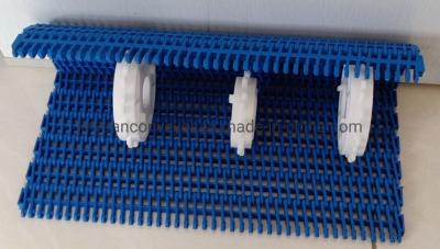 Cina Cinture trasportatrici di plastica facili da pulire con pitch di 27,2 mm in vendita