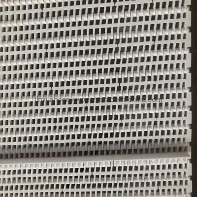 Cina Cinture trasportatrici di plastica facili da pulire con pitch di 27,2 mm in vendita