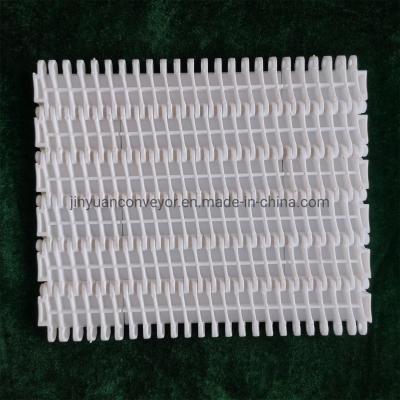 Cina Cinture trasportatrici in plastica con passo di 27,2 mm per l'industria della trasformazione dei cartoni in vendita