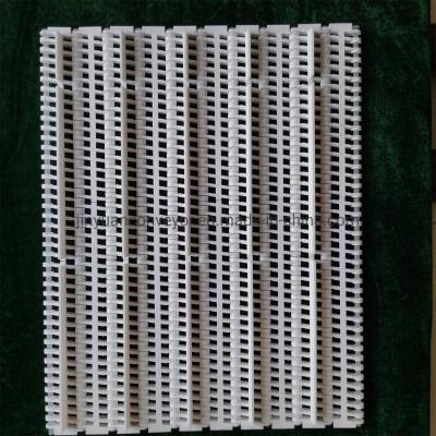 Cina Cinture trasportatrici in plastica con passo di 27,2 mm per l'industria della trasformazione dei cartoni in vendita