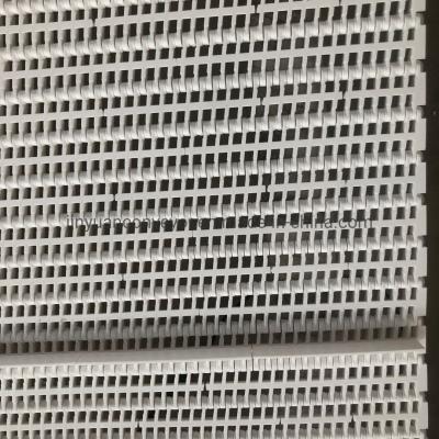 Cina POM Conveyor Modular Belt Pitch 27.2mm per l'industria delle bevande in vendita