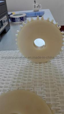 Cina Cintura trasportatrice modulare in plastica con positrack in vendita