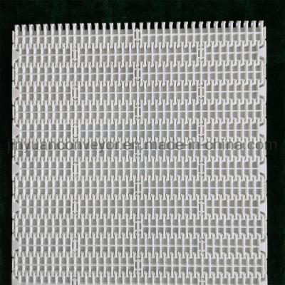 Cina Cintura trasportatrice modulare in plastica con positrack in vendita