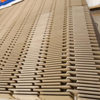 Cina 4809 Serie Pitch 57,15 mm Cintura modulare di plastica per bottiglie in vendita