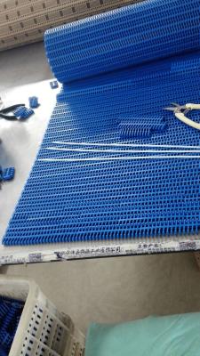 Cina Cinture trasportatrici in plastica con passo di 27,2 mm per il sistema di trasporto in vendita