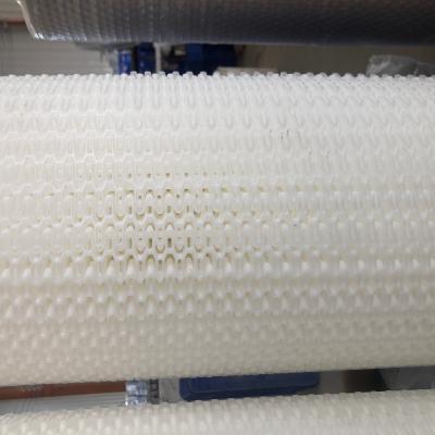 Cina Convogliatore a griglia di scarico cintura di plastica verde in vendita