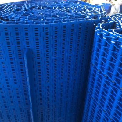 Cina Cintura trasportatrice per bottiglie di plastica con griglia di scarico Cintura trasportatrice a catena di plastica in vendita