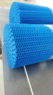 Cina PP POM Mini convogliatore modulare colorato per la produzione di bevande in vendita