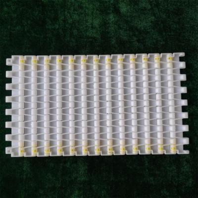 Cina Facile da assemblare 15,2 mm di passo cintura trasportatrice di plastica per cartone ondulato fabbrica in vendita