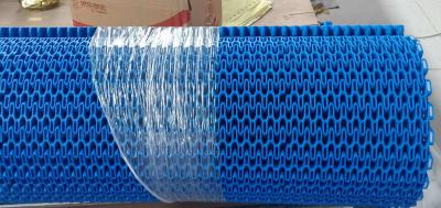 China Plastic Conveyor Belt Gepersonaliseerd Gekrompen Verwerking Transfer Conveyor Belt Te koop
