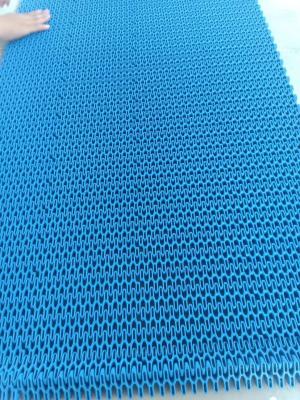 Cina Industria Trasformazione alimentare Cinture trasportatrici Produttori Materiale plastico su misura in vendita