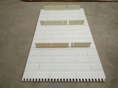 Cina Nuovo tipo di piccoli sistemi di nastro trasportatore in plastica con rulli per cartoni ondulati in vendita
