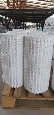 Cina Convogliere a nastro di plastica di grande capacità per l'industria del confezionamento in vendita