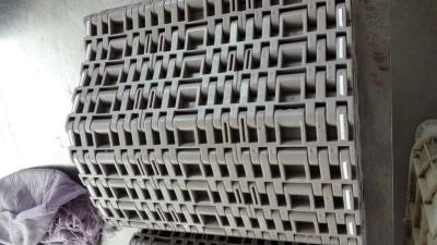 Cina Dimensioni confezionato con nastro modulare di trasportatore di plastica per la lavorazione di carta ondulata in vendita