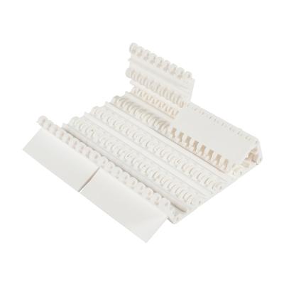 Cina Vendite calde Cintura di trasporto angolare modulare Catena di plastica per il Marocco Industria di imballaggio di palme di data in vendita