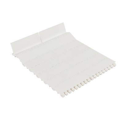 Cina Cintura trasportatrice modulare in plastica con forma a larghezza in vendita