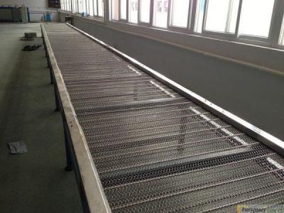 Cina Cintura trasportatrice a catena metallica personalizzata per asciugatrice continua in vendita