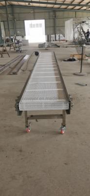 Cina Produttore Trasportatore a nastro di plastica a maglia per il lavaggio degli alimenti in vendita