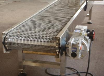 Cina Sistema di trasportatore a nastro modulare di qualità alimentare per il materiale di carne di pesce umido in vendita