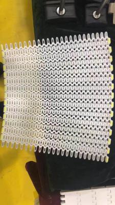Cina Trasporto PP POM PE nastro trasportatore modulare in plastica in vendita