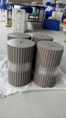 Cina POM cintura di trasporto di trasmissione di imballaggio di plastica modulare in vendita