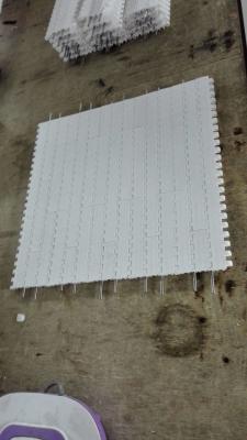 Cina Cintura trasportatrice modulare in plastica a griglia a catena con funzione multifunzione in vendita