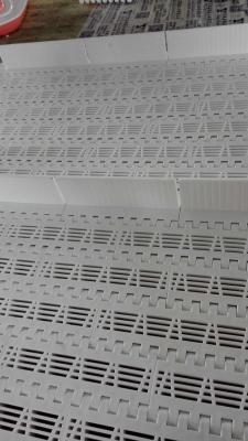 Cina Cintura modulare di plastica di alta qualità per trasportatore in vendita