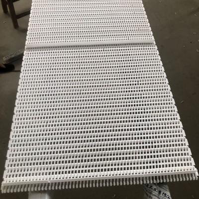 Cina Cintura trasportatrice in plastica modulare con capo piatto per alimenti ittici Certificazione ISO in vendita