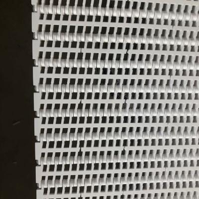 Cina Cintura trasportatrice in plastica modulare con capo piatto per alimenti ittici Certificazione ISO in vendita