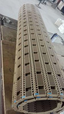 Cina Radius Solid Top Conveyor Belt Serie 1000 Cintura di plastica modulare in vendita