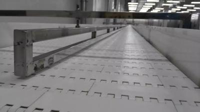 Cina Epk-600 trasportatore a rulli flessibile espandibile trasportatore a ruota di pattinaggio in vendita