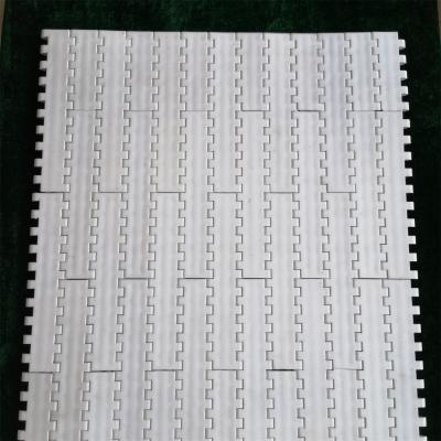 Cina Cintura trasportatrice modulare in plastica con 1000 stampi in vendita