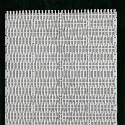 Cina Cintura trasportatrice modulare in plastica con 1000 stampi in vendita
