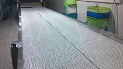 Cina Convogliere per cinghia di carico industriale a batteria senza cavo rimovibile/convogliere per cinghia di carico e scarico in vendita
