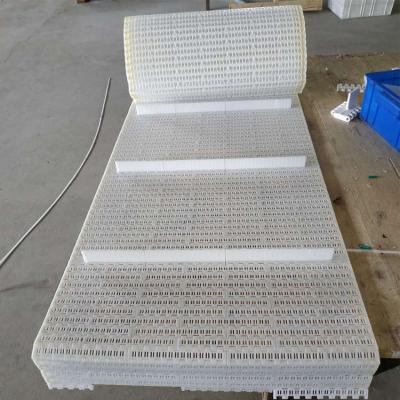 Cina Cintura trasportatrice modulare a picco in plastica in vendita in vendita