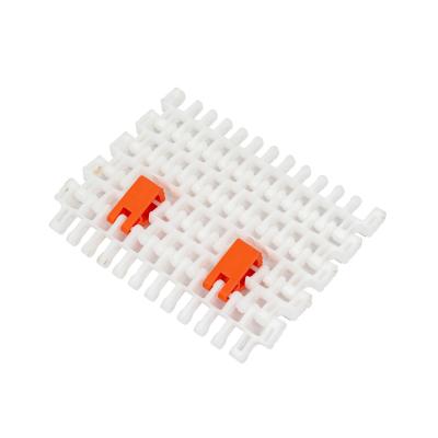 Cina Visione Convogliere a nastro economico Convogliere a nastro tampone Modulo sicuro in plastica utilizzato nel processo alimentare in vendita