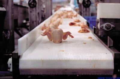 Cina Automazione Arredamento Linea di produzione di tavolino a rotelle e trasportatore a nastro in vendita