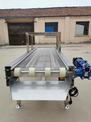 China Cinturão transportador modular Cinturão transportador de vegetais e frutas à venda