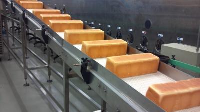 China Conveyor de tipo giratório de correia modular personalizado para transmissão Wtih Certificado ISO & CE & FDA Usado para indústria de embalagens e logística à venda