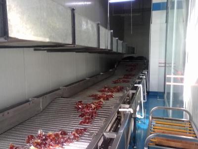 China Conveyor de rolos de gravidade recta CE para materiais de transporte à venda