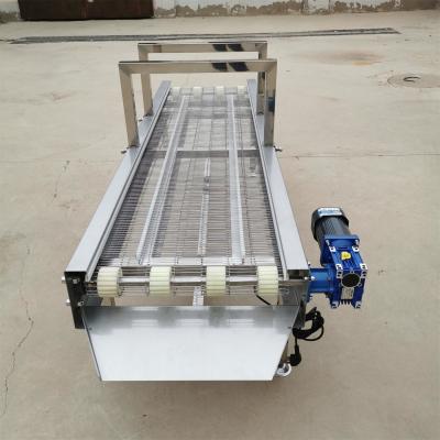 China Transporte automático de cadena plana con motor de gravedad Telescópico de rodillos en venta