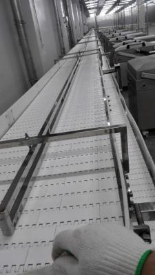 China Logistiek Warehouse Flat Top Chain Conveyor Handling Belt Conveyor Te koop